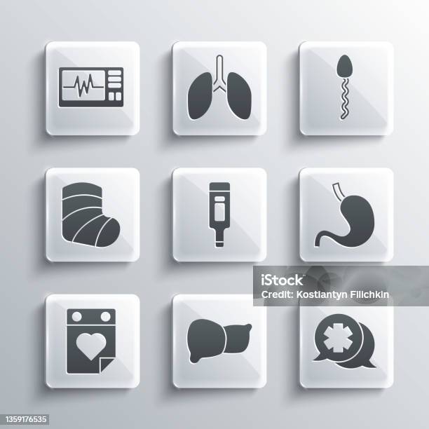 Atur Hati Organ Manusia Dialog Dengan Dokter Perut Termometer Digital