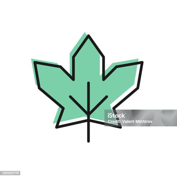 Icône De Feuille Dérable Canadienne À Ligne Noire Isolée Sur Fond Blanc