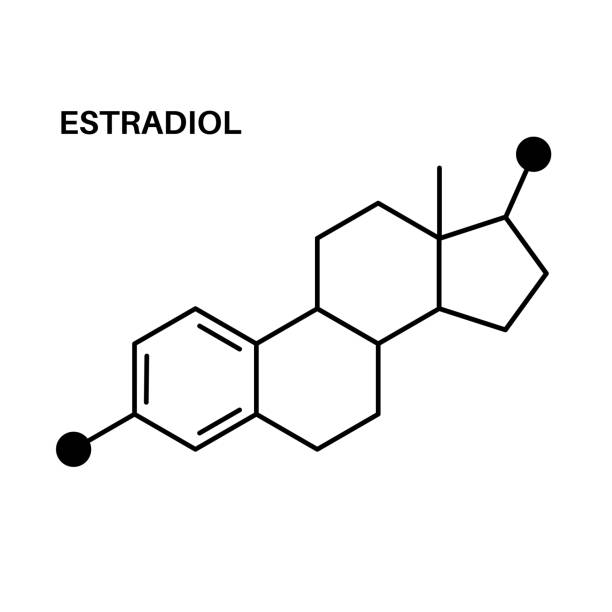 150 Estradiol Molecule Illustrations Royalty Free Vector Graphics