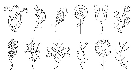 Abstrak Set Elemen Doodle Koleksi Gambar Tangan Botanic Herbal Flora Daun Cabang Tanaman Vine