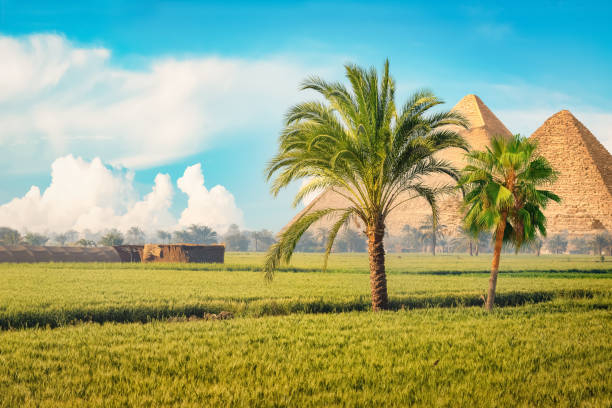 500+ Stunning Egypt Pictures [Scenic Travel Photos] | Download Free ...