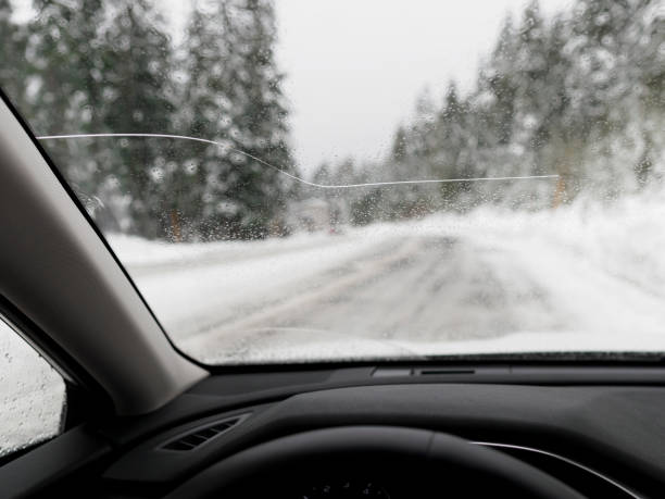 Windscreen Pictures | Download Free Images on Unsplash