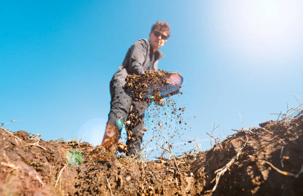 Free Stock Photo of Man Digging a Hole in the Ground | Download Free ...