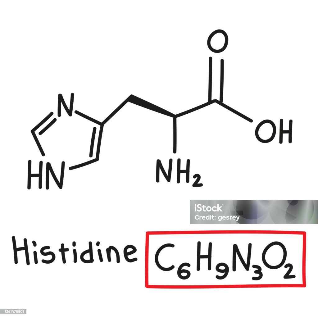 Hand Drawn Chemical Molecular Formula Of Amino Acid Histidine In Doodle