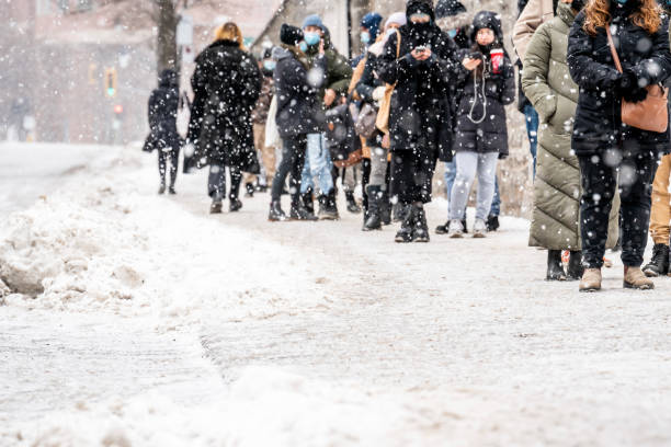 Free Stock Photo of A crowd of people outside a building | Download ...