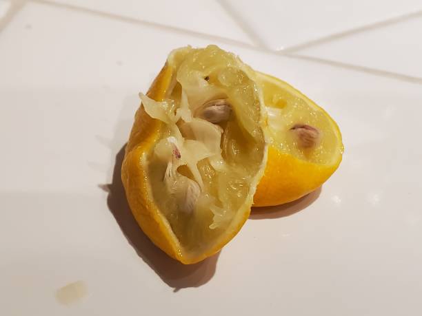 Lemon Peel Pictures | Download Free Images on Unsplash