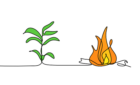 Feu De Couleur Abstrait Avec Germination Comme Dessin Au Trait Sur Fond