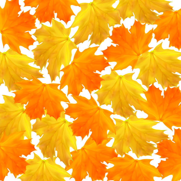 40+ Autumn Foliage On Sunny Sky Abstract Nature Background Banner Stock ... 40+ Autumn Foliage On Sunny Sky Abstract Nature Background Banner Stock ...