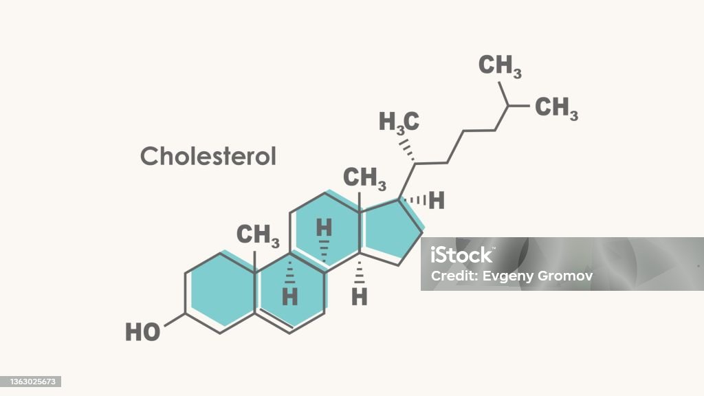 Formula Kimia Struktural Kolesterol Ilustrasi Infografis Ilustrasi Stok