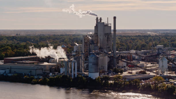 Paper Mill Pictures | Download Free Images on Unsplash