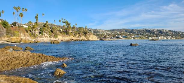 100+ Laguna Beach Pictures | Download Free Images on Unsplash