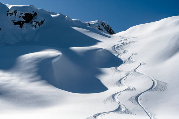 Ski Tracks Pictures | Download Free Images on Unsplash
