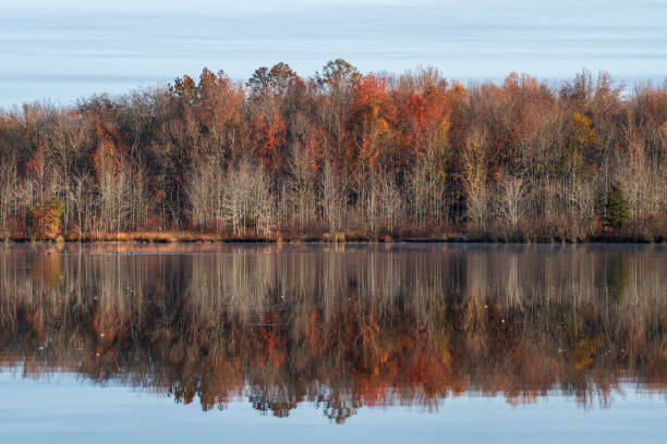 Free picture: Nice weather in October small island reflected in lake water