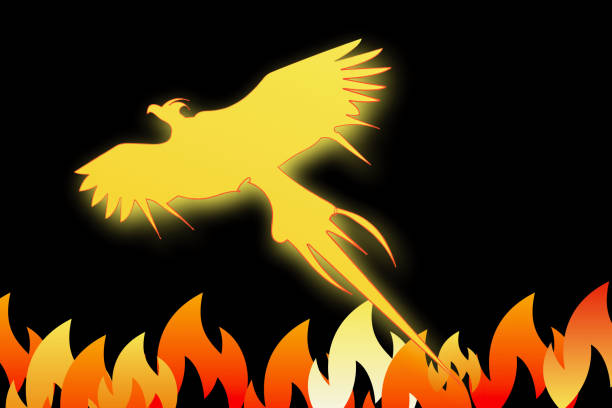 2,500+ Fire Transition Stock Illustrations, Royalty-Free Vector ... 2,500+ Fire Transition Stock Illustrations, Royalty-Free Vector ...