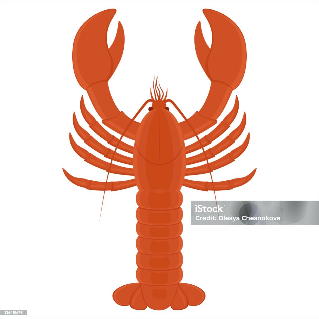 Hummer Farblich Isolierte Vektorillustration Auf Weißem Hintergrund Im ... Hummer Farblich Isolierte Vektorillustration Auf Weißem Hintergrund Im ...