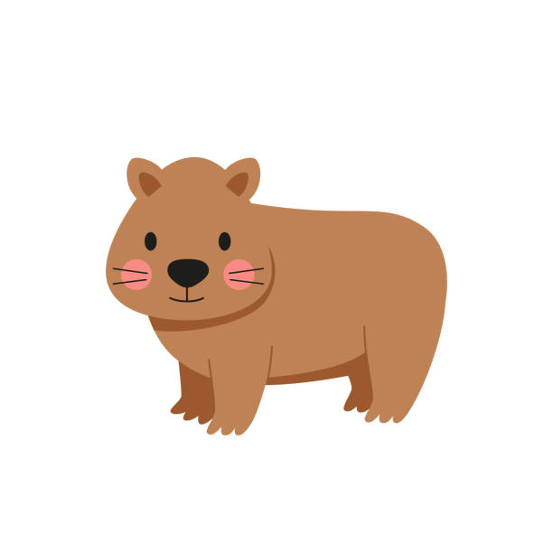 1200 Wombat Stock Illustrations Royalty Free Vector Graphics And Clip