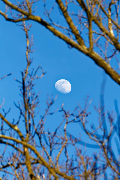 Mond Pictures | Download Free Images on Unsplash