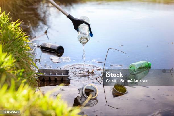 Photo Libre De Droit De Conservation De Lenvironnement Collecte Des
