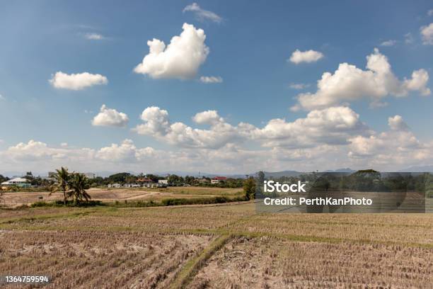 Lanskap Dengan Lapangan Dan Langit Biru Foto Stok - Unduh Gambar ... Lanskap Dengan Lapangan Dan Langit Biru Foto Stok - Unduh Gambar ...