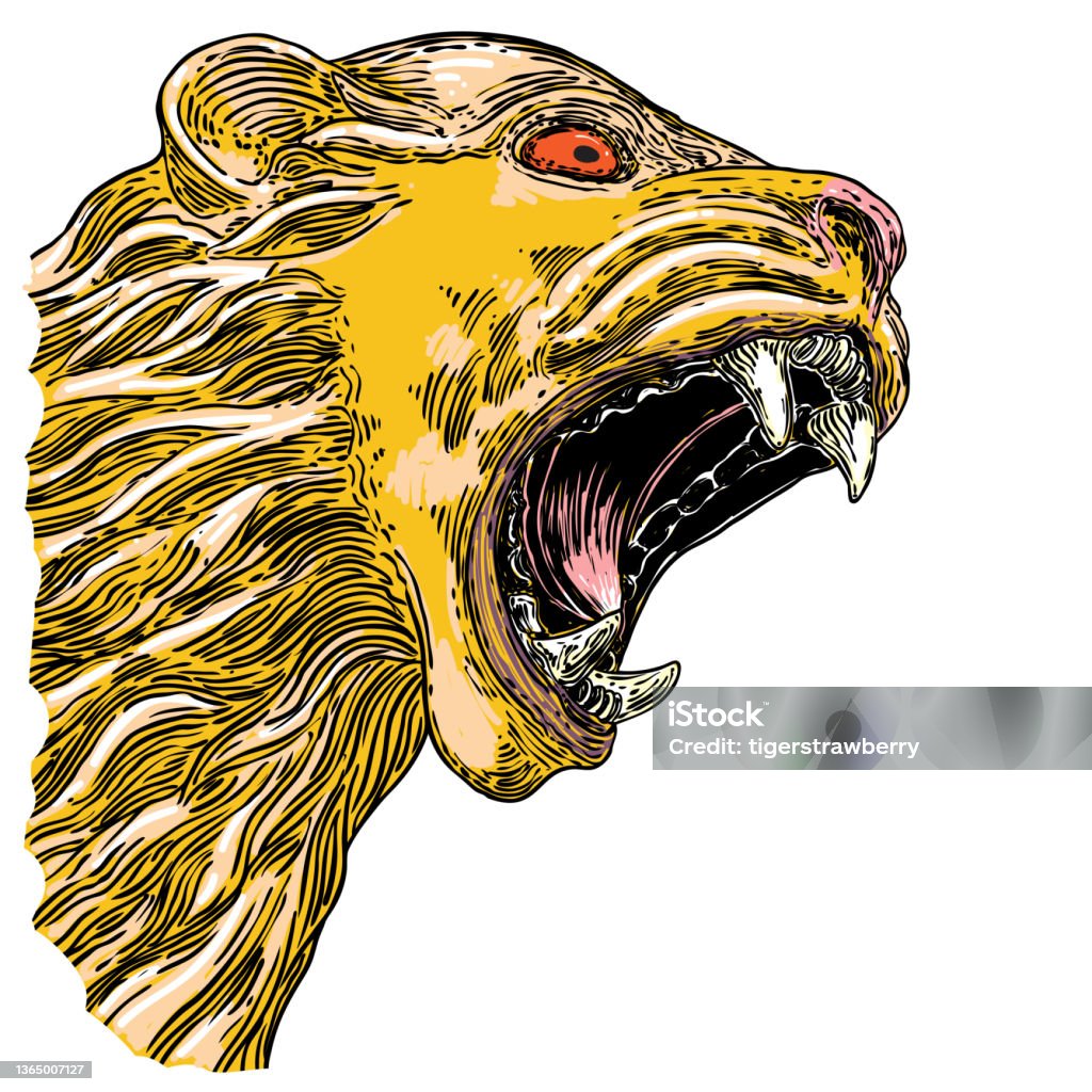 Ilustrasi Wajah Harimau Mengaum Warna Menggeram Kepala Harimau Potret