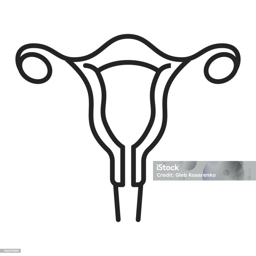 Ikon Uterus Wanita Terisolasi Organ Internal Wanita Ilustrasi Stok