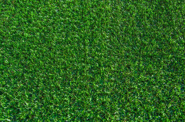 Free Stock Photo of Artificial Grass Background | Download Free Images ...