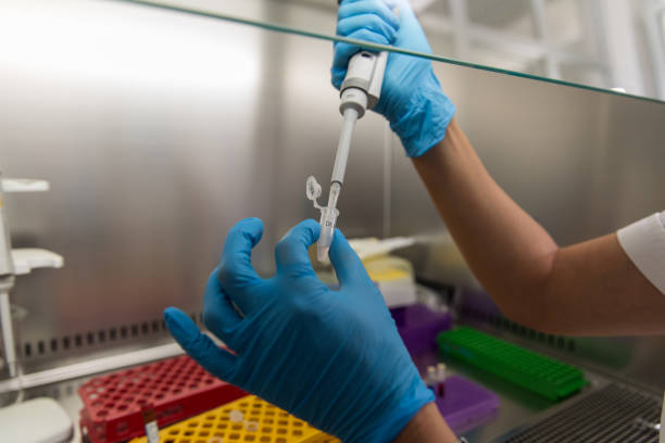 Free picture: genetic, laboratory, tools