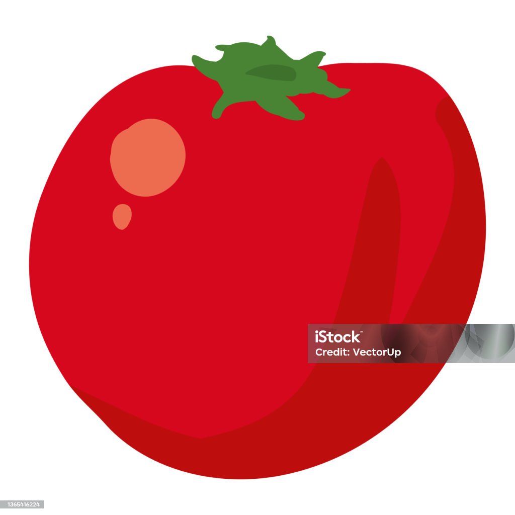 Tomato Natural Healthy Organic Nutrition Product Vector Doodle Cartoon