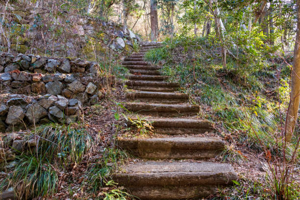 Uphill Pictures | Download Free Images on Unsplash