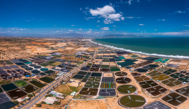 Shrimp Farm Pictures | Download Free Images on Unsplash