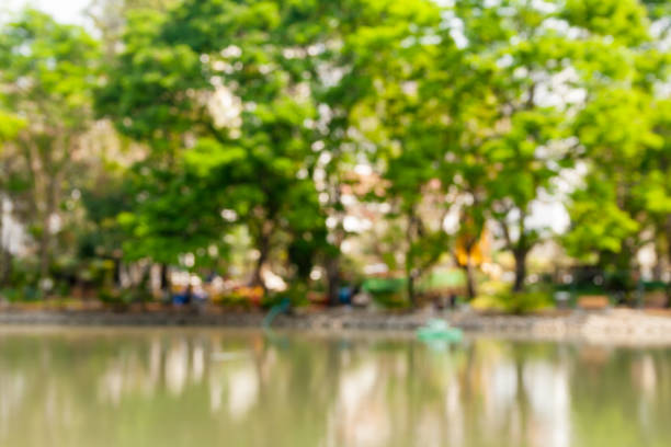 Free Stock Photo of Riverfront view from a blurred foreground ...
