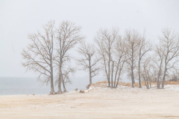 Neutral Landscape Pictures | Download Free Images on Unsplash
