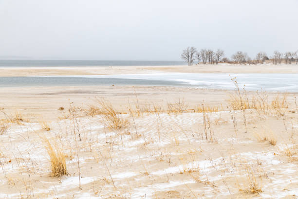 Free picture: winter, beach, frost, parasol, frozen, snow, cold, lake ...