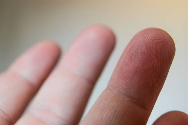 Free picture: fingertip, barefoot, fingerprint, feet, skin, close-up ...