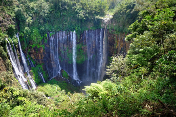 Tumpak Sewu Pictures | Download Free Images on Unsplash