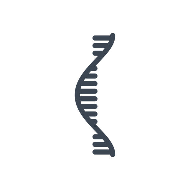13,100+ Rna Stock Photos, Pictures & Royalty-Free Images - iStock 13,100+ Rna Stock Photos, Pictures & Royalty-Free Images - iStock