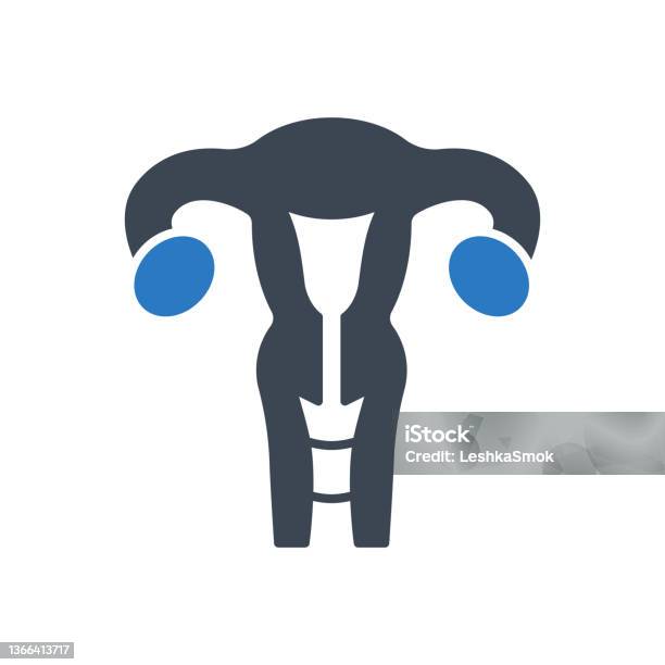 Ikon Glyph Vektor Uterus Ilustrasi Stok Unduh Gambar Sekarang
