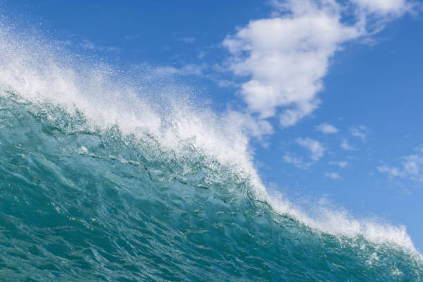 Free Stock Photo of Arc of a wave breaking on the ocean | Download Free ...