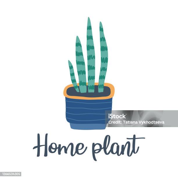 Tanaman Rumah Dalam Pot Lucu Dengan Gaya Digambar Tangan Dekorasi Rumah