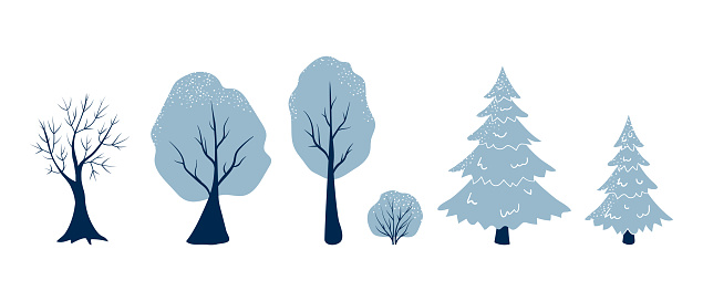 Mignon Ensemble Darbres Bleus Dessinés À La Main En Forêt Dhiver