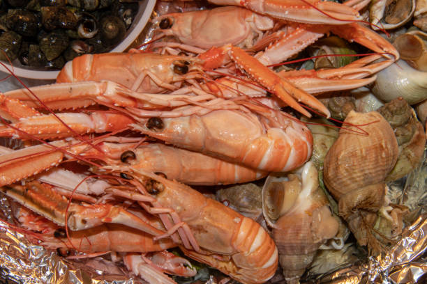 Fruits De Mer Pictures | Download Free Images on Unsplash