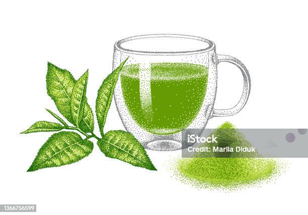 Matcha Teh Hijau Mengeset Gelas Cangkir Dinding Ganda Bubuk Dan Daun ... Matcha Teh Hijau Mengeset Gelas Cangkir Dinding Ganda Bubuk Dan Daun ...