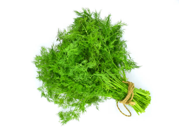 Dill Pictures | Download Free Images on Unsplash