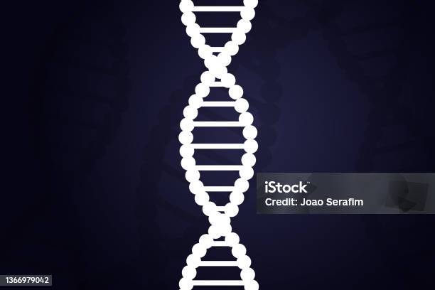 Structure De Ladn Isolée Biologie Ou Biotechnologie Anatomie Des