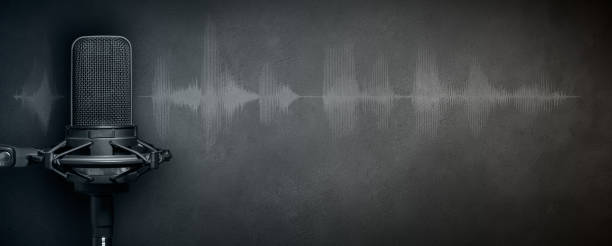 750+ Mic Pictures | Download Free Images & Stock Photos on Unsplash