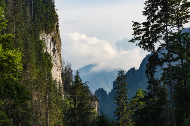 Tatras Pictures | Download Free Images on Unsplash