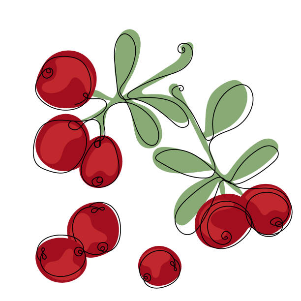 Cranberry Clipart