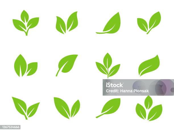 Ensemble Dicônes De Feuilles Vertes Icône De Feuilles Feuilles Darbres