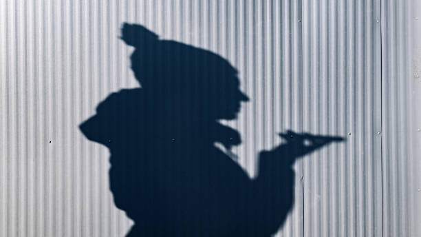 Free picture: Shadow of telephone pole shadow on metal surface ...