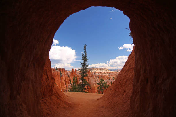 Cave Opening Pictures | Download Free Images on Unsplash